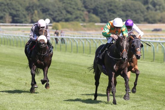 Good Luck Fox 7 Ridden By Editorial Stock Photo - Stock Image ...