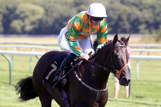 Good Luck Fox 7 Ridden By Editorial Stock Photo - Stock Image ...