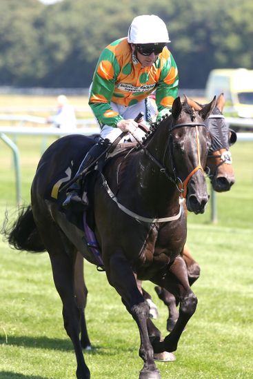 Good Luck Fox 7 Ridden By Editorial Stock Photo - Stock Image ...