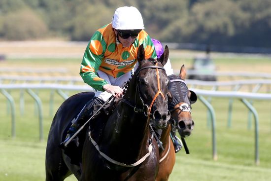 Good Luck Fox 7 Ridden By Editorial Stock Photo - Stock Image ...