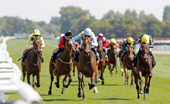 Hoof Hoof Centre Alec Voikhansky Beats Editorial Stock Photo - Stock ...