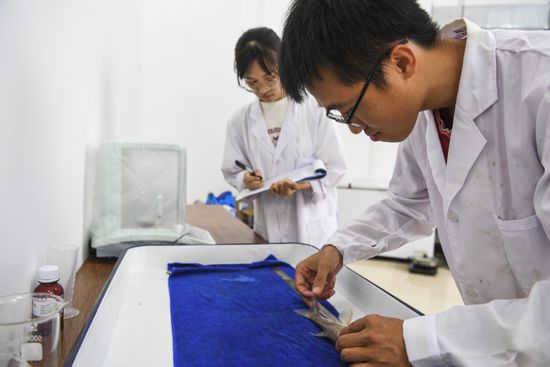 Researchers Work Rare Fish Conservation Center Editorial Stock Photo ...