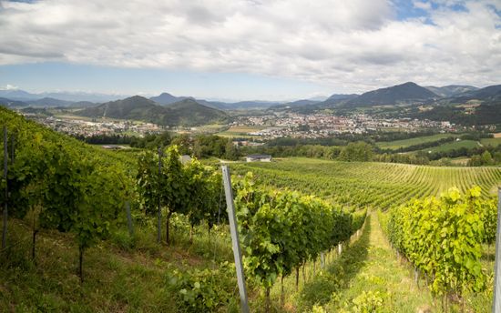 View Taggenbrunn Castle Over Taggenbrunn Winery Editorial Stock Photo ...