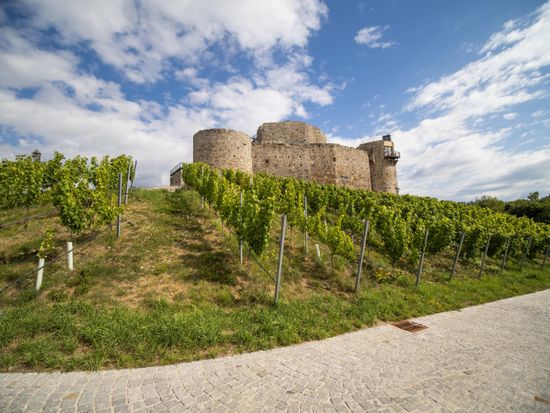 Taggenbrunn Castle Near St Veit Carinthia Editorial Stock Photo - Stock ...