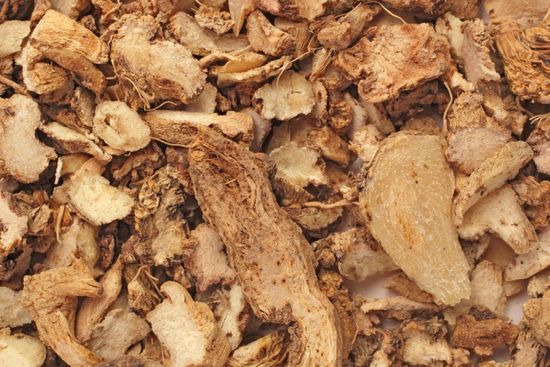 Medicinal Plant Motherwort Root Anemarrhena Asphodeloides Editorial ...