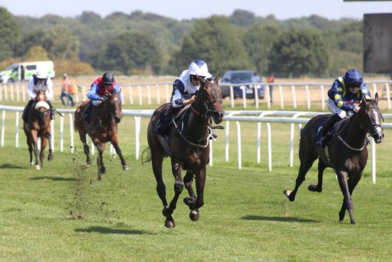 Miss Dynamic 3 Ridden By Cieren Editorial Stock Photo - Stock Image ...