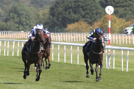 Miss Dynamic 3 Ridden By Cieren Editorial Stock Photo - Stock Image ...