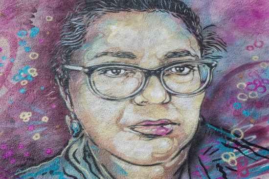Street Artist Christian Guemy Known C215 Editorial Stock Photo - Stock ...
