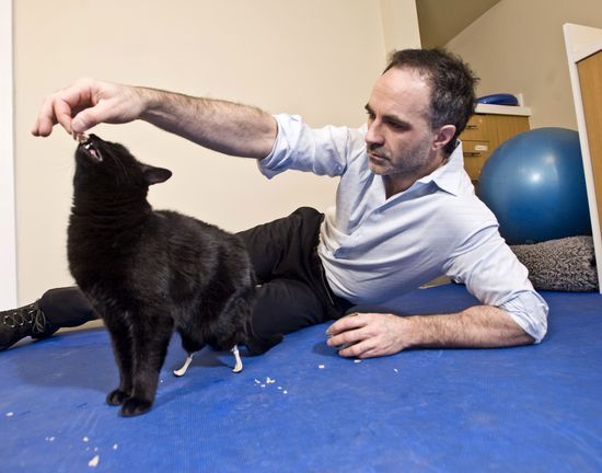 Bionic Vet Noel Fitzpatrick Oscar Cat Editorial Stock Photo - Stock ...