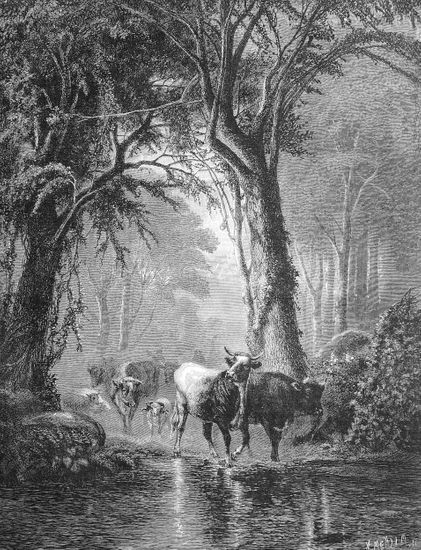 Ford Forest Cow Herd Passes River Editorial Stock Photo - Stock Image ...