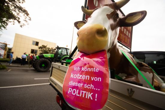 Decoration Cow Sign Quot Could Puke Editorial Stock Photo - Stock Image ...