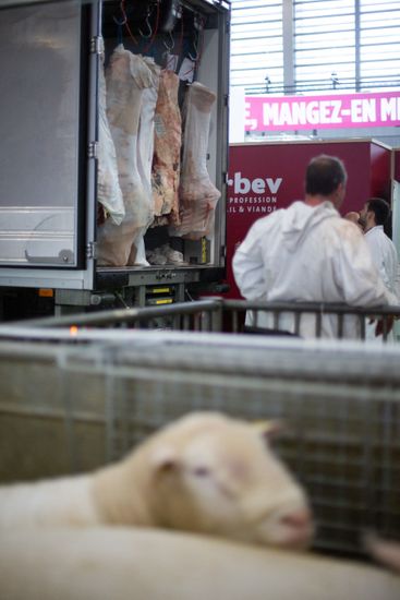Sheeps Next Butcher Getting Meat Off Editorial Stock Photo - Stock ...