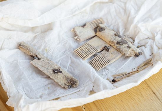 Pieces Combs Made Bone On Display Editorial Stock Photo - Stock Image ...