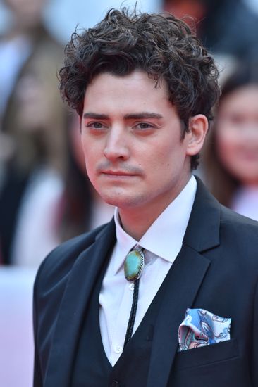 Aneurin Barnard Attends Goldfinch Premiere During Editorial Stock Photo ...
