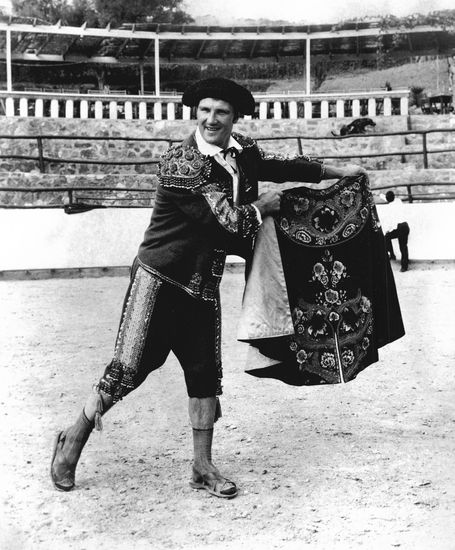 Boxer Jack Bodell Editorial Stock Photo - Stock Image | Shutterstock