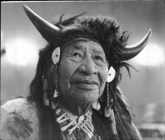Big Chief Walking Buffalo Full Ceremonial Editorial Stock Photo - Stock ...