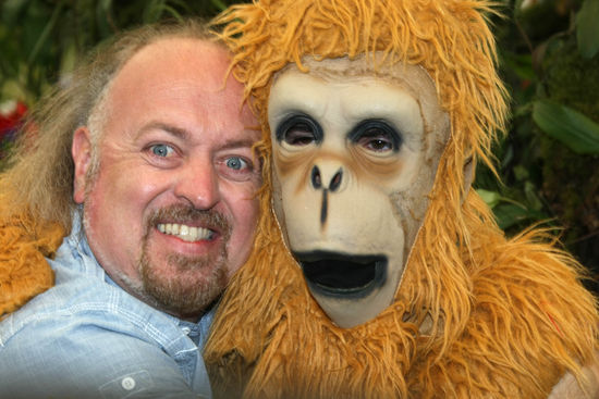 Bill Bailey Ape Character Editorial Stock Photo - Stock Image ...