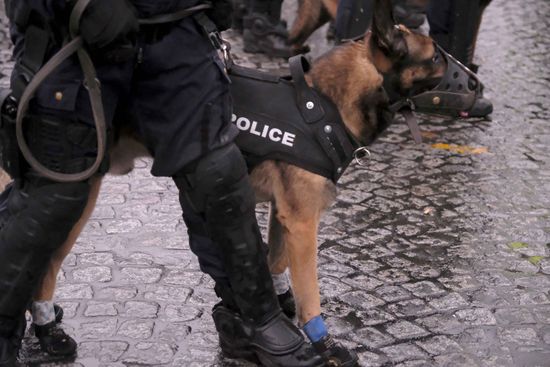 French Riot Police Use Doge During Editorial Stock Photo - Stock Image ...