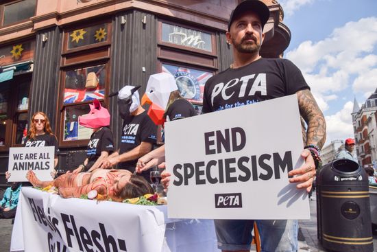 Peta People Ethical Treatment Animals Protester Editorial Stock Photo ...