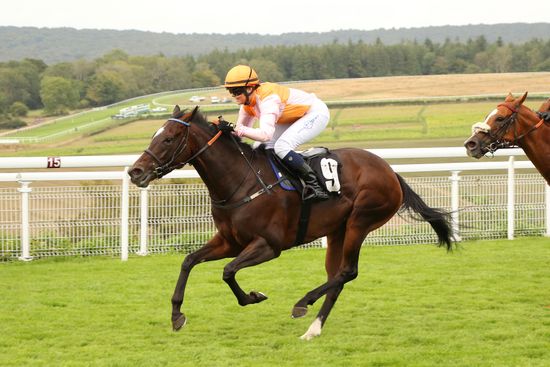 Gert Lush Ridden By Megan Jordan Editorial Stock Photo - Stock Image ...