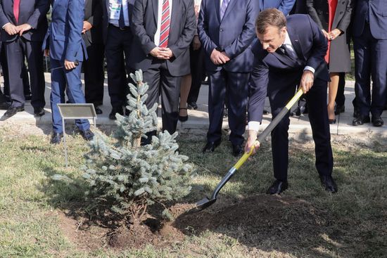 French President Emmanuel Macron Plants Tree Editorial Stock Photo ...