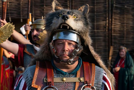 Roman Centurion Wolf Skin Prepares Participate Editorial Stock Photo ...