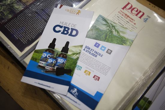 Brochure About Cbd Shop Museum Du Editorial Stock Photo - Stock Image ...