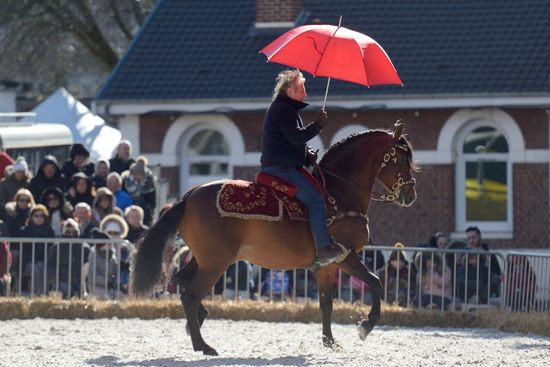 Le Cascadeur Equestre Mario Luraschi Et Editorial Stock Photo - Stock ...
