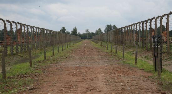 Barbed Wire Fences Auschwitzbirkenau Nazi Concentration Editorial Stock ...