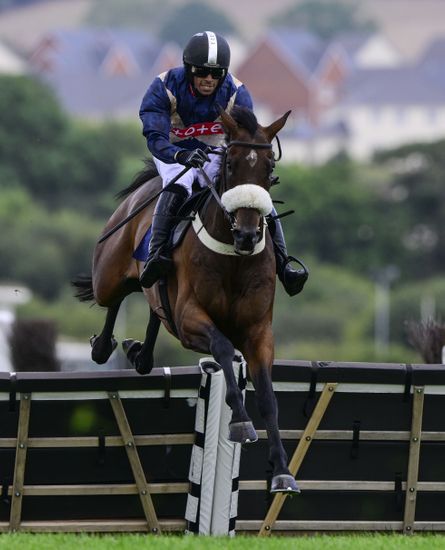 Heronord Ridden By Mr Lewis Gordon Editorial Stock Photo - Stock Image ...