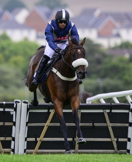 Heronord Ridden By Mr Lewis Gordon Editorial Stock Photo - Stock Image ...