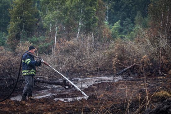 Firefighter Puts Out Fire Peat Bog Foto de stock de contenido editorial ...