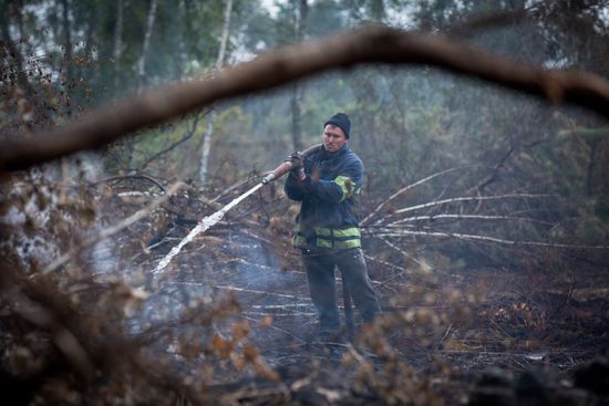 Firefighter Puts Out Fire Peat Bog Editorial Stock Photo - Stock Image ...