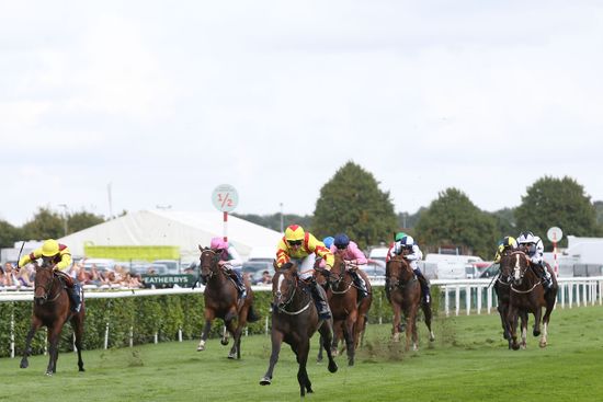 Bonny Angel 5 Ridden By John Editorial Stock Photo - Stock Image ...