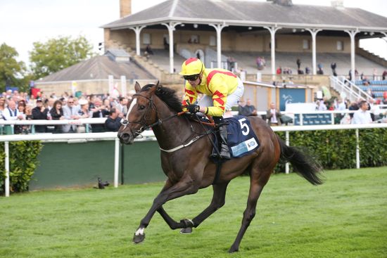 Bonny Angel 5 Ridden By John Editorial Stock Photo - Stock Image ...