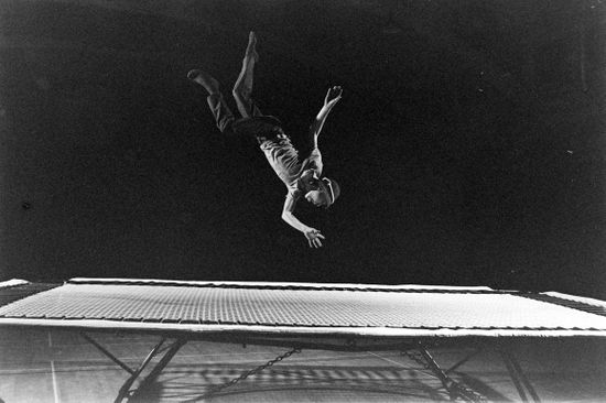 Man Jumping On Trampoline Los Angeles Editorial Stock Photo - Stock ...