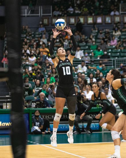 Hawaii Setter Kate Lang 10 Sets Editorial Stock Photo - Stock Image ...