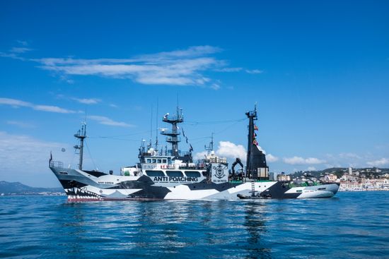 Sea Shepherd My Sam Simon On Editorial Stock Photo - Stock Image ...
