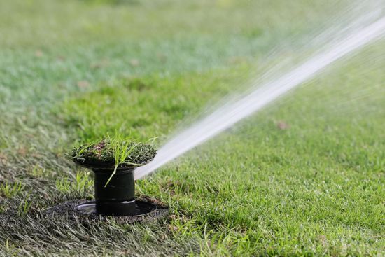 Close Pitch Watering Hose Outlet Ahead Editorial Stock Photo - Stock ...