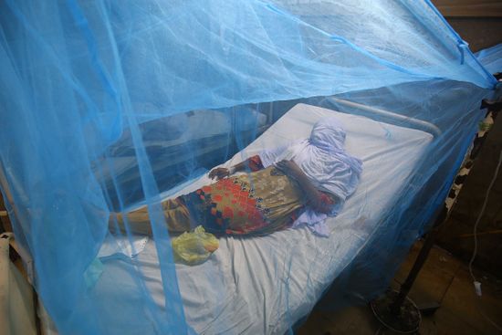 Patient Suffering Dengue Fever Receives Medical Editorial Stock Photo ...
