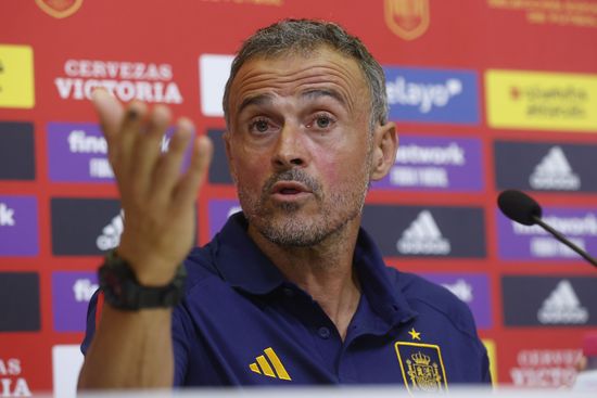 Spanish National Teams Head Coach Luis Editorial Stock Photo - Stock ...