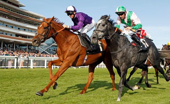 Sir Rumi Left Pat Dobbs Beats Editorial Stock Photo - Stock Image ...