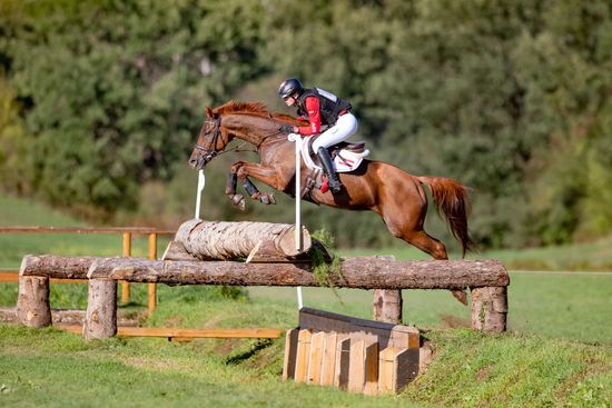 Lea Siegl Aut Riding Dsp Fighting Editorial Stock Photo - Stock Image ...