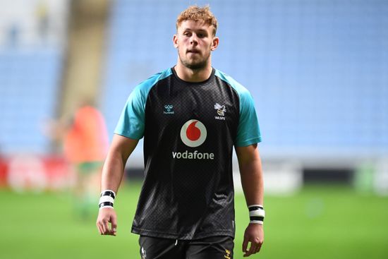 Wasps Back Row Fyn Brown 6 Editorial Stock Photo - Stock Image ...