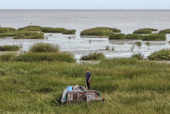 Man Stands On His Stranded Ship Editorial Stock Photo - Stock Image ...