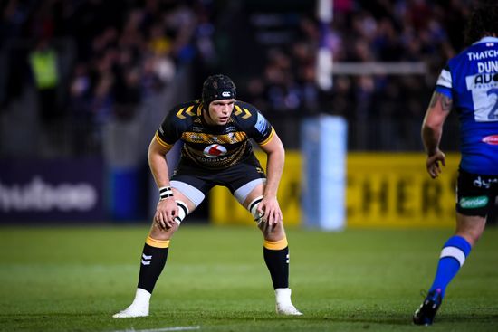 Tim Cardall Wasps Editorial Stock Photo - Stock Image | Shutterstock