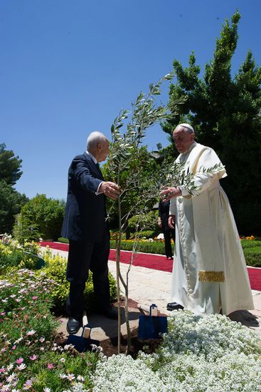 Pope Francis Plants Tree Israeli President Editorial Stock Photo ...