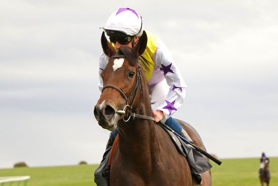 Lezoo Ridden By William Buick After Editorial Stock Photo - Stock Image ...
