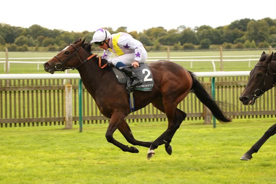 Lezoo Ridden By William Buick Winning Editorial Stock Photo - Stock ...