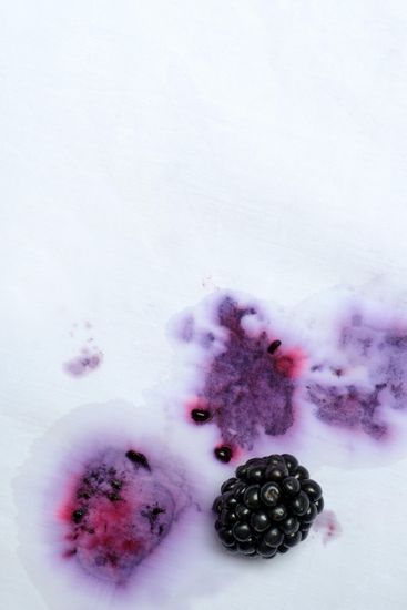 Blackberries Blackberry Stain On Fabric Stain Editorial Stock Photo ...
